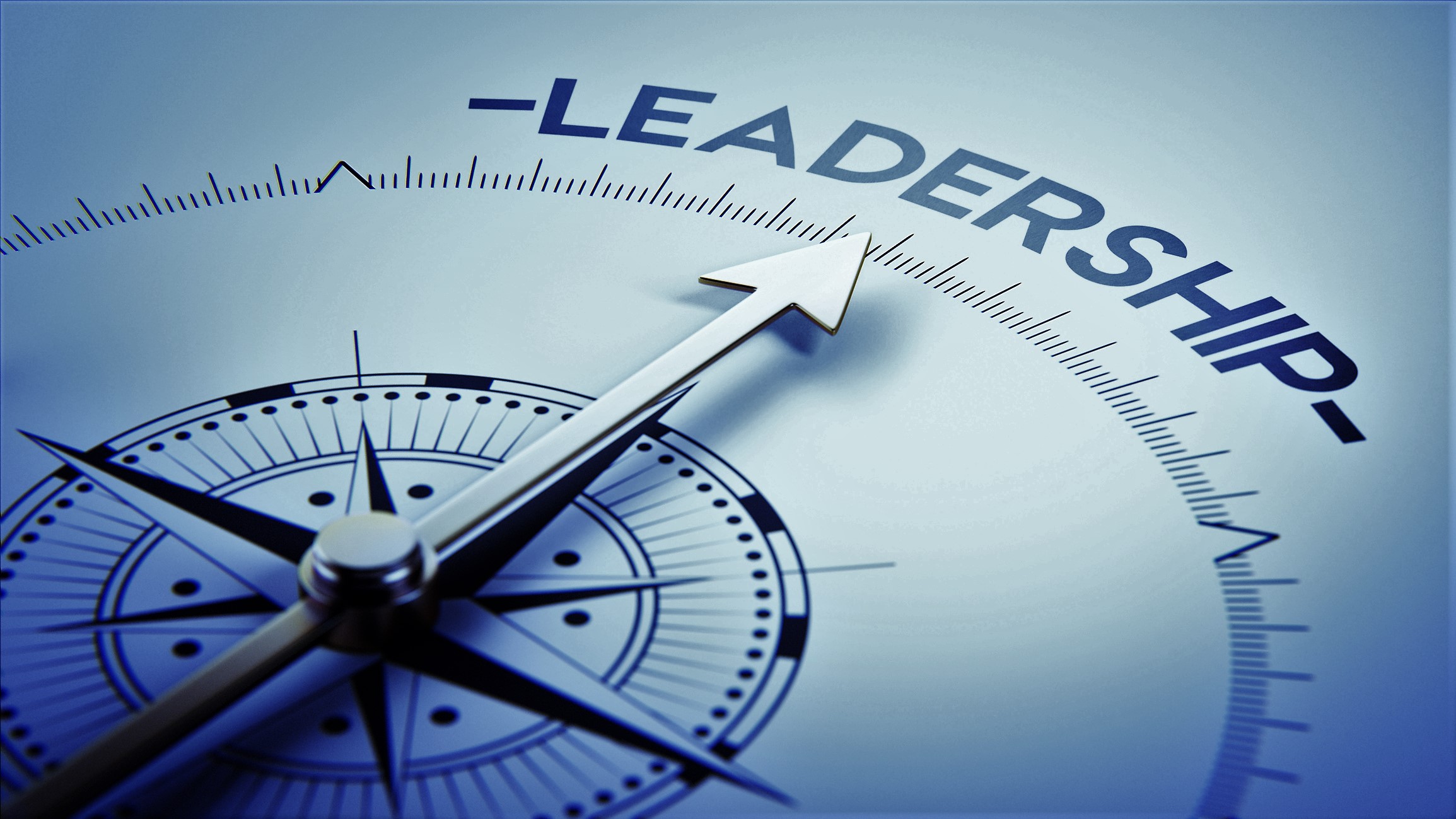 Leadership Dynamics – Paul Anthony Wallis